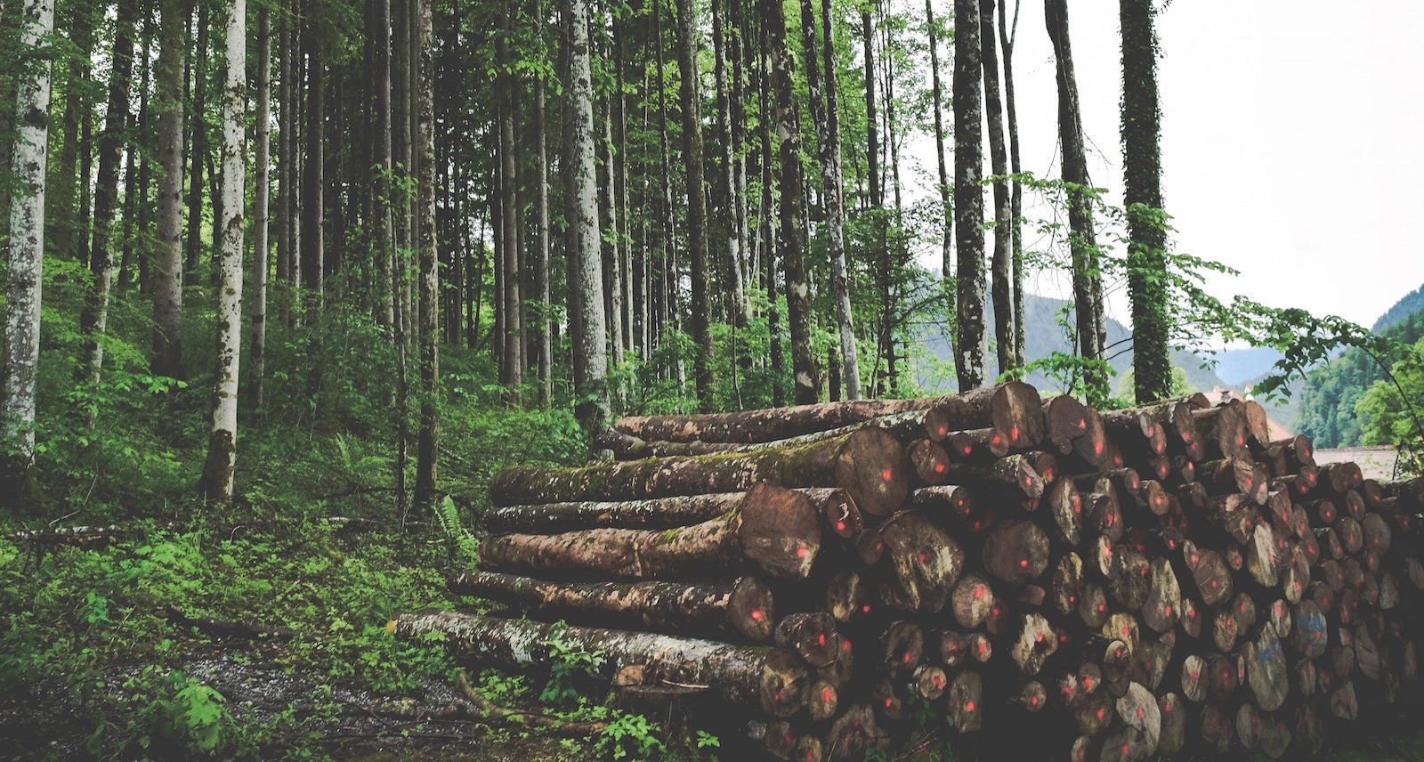 Remote Logging With Syslog Part 4 Log Rotation Linux