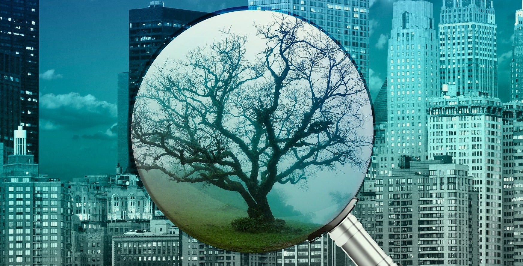 The Linux Filesystem Explained Linux